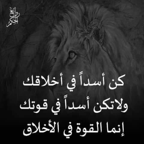 صور عبر وحكم بالصور - أكتب اسمك على الصور