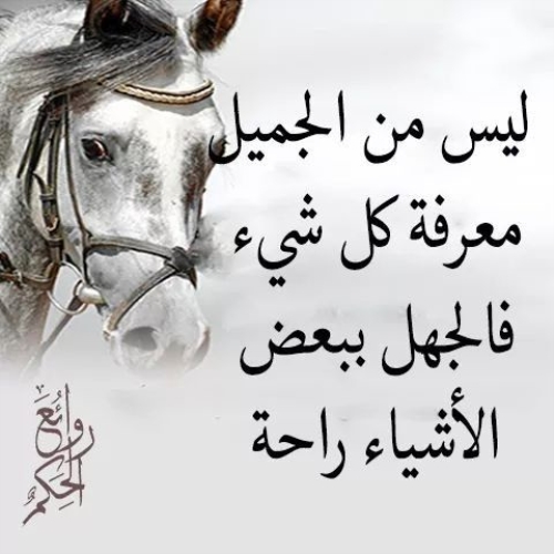 صور عبر ومواعظ عن الحياة - أكتب اسمك على الصور